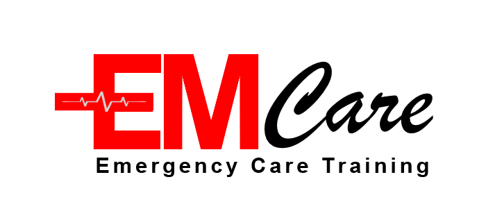 Why Choose Emcare Training? - Blog: Single Page Layout - Expert ...